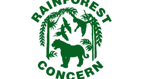 Quiénes Somos | Fundación Chilco